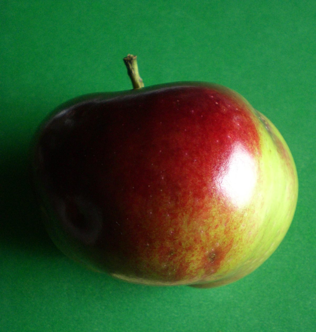 Macoun Apple | Walden Heights Nursery & Orchard