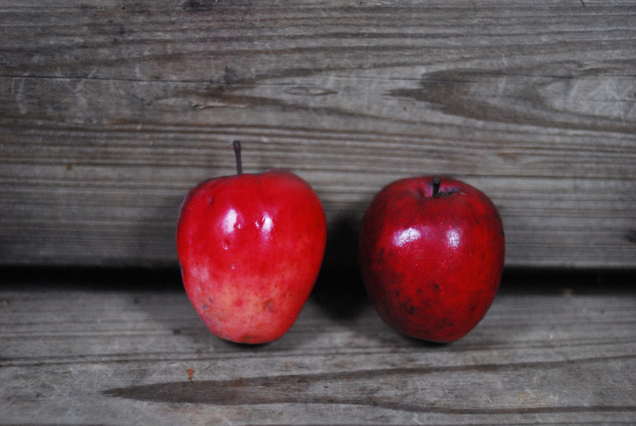 Russian Red Apple | Walden Heights Nursery & Orchard
