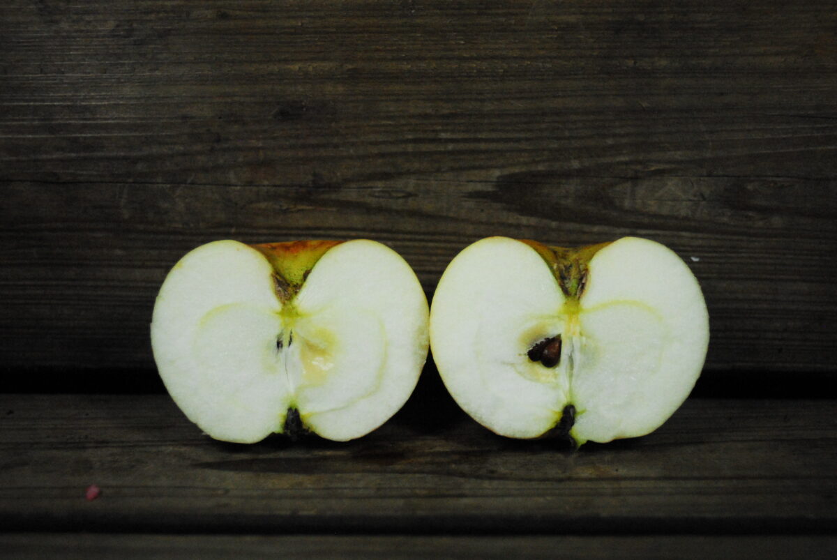 Wodarz Apple | Walden Heights Nursery & Orchard